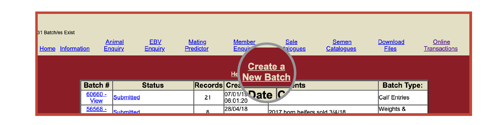 Calf Registration on Internet Solutions – Red Devon Cattle Breeders ...