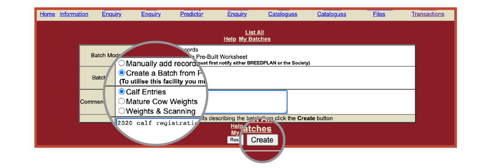 Calf Registration on Internet Solutions – Red Devon Cattle Breeders ...