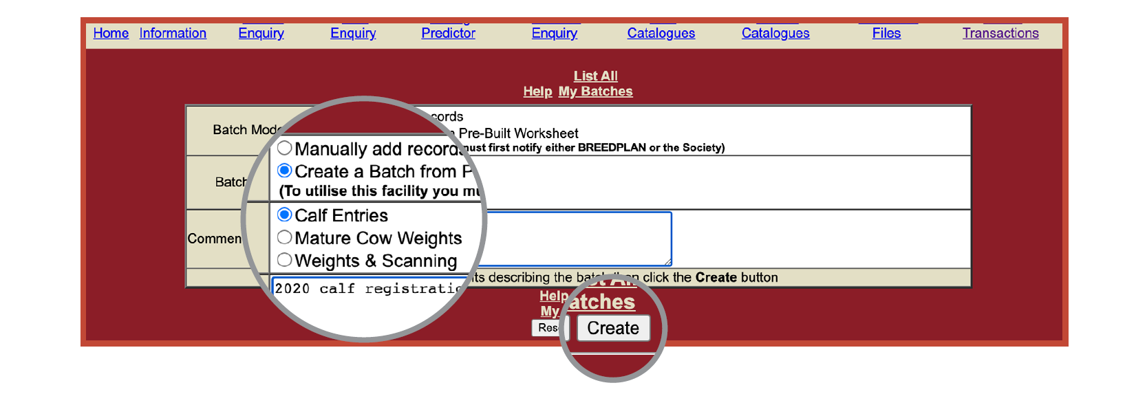 Calf Registration on Internet Solutions – Red Devon Cattle Breeders ...